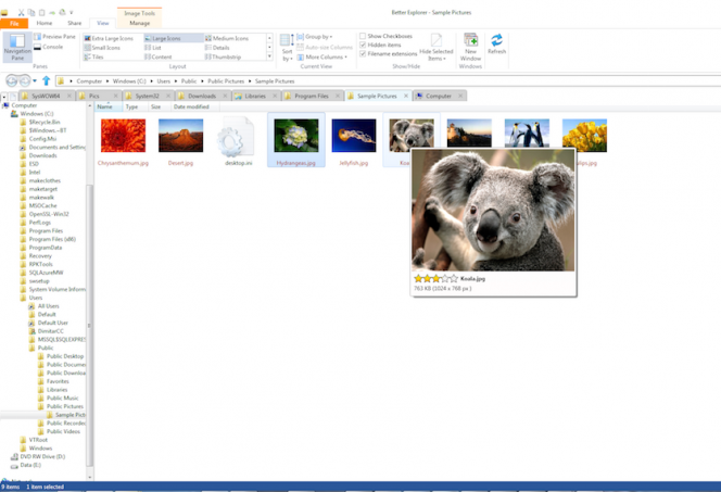 Better Explorer downloaden? - Gratis via Downloaden.nl