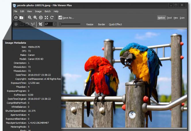 File Viewer Plus downloaden voor Windows? | Gratis